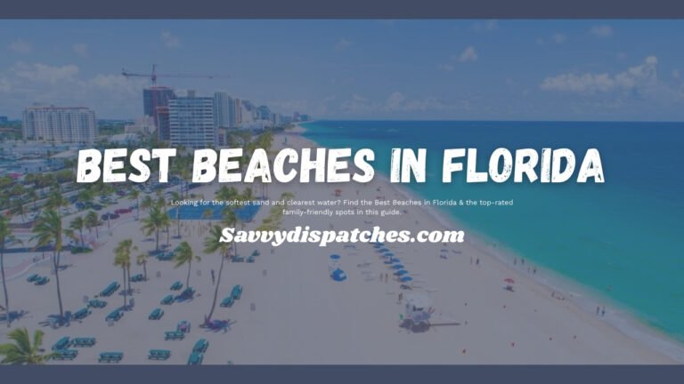 Top 10 Best Beaches in Florida You Need to See